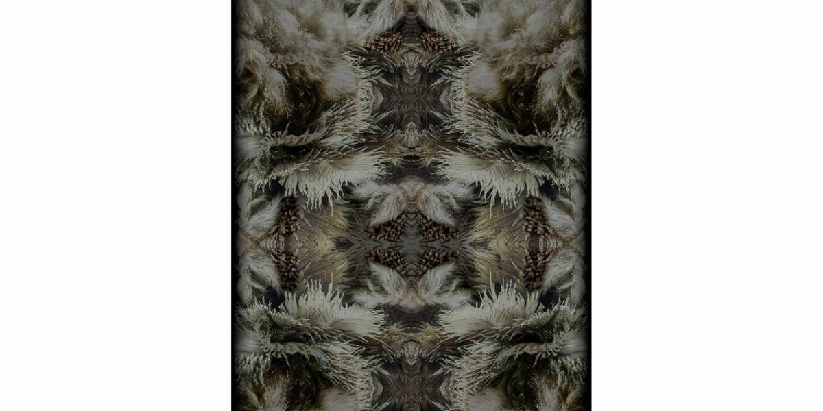 Blushing Sloth Rug by Moooi | Steelcase