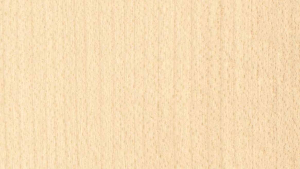 Clear Maple - Steelcase