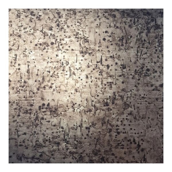 Casper Cloaking Window Film Technology for Conference Rooms | Steelcase