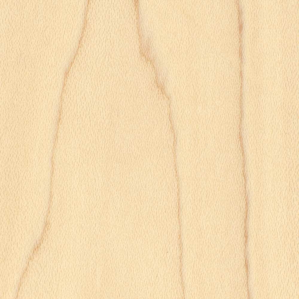Clear Maple - Steelcase