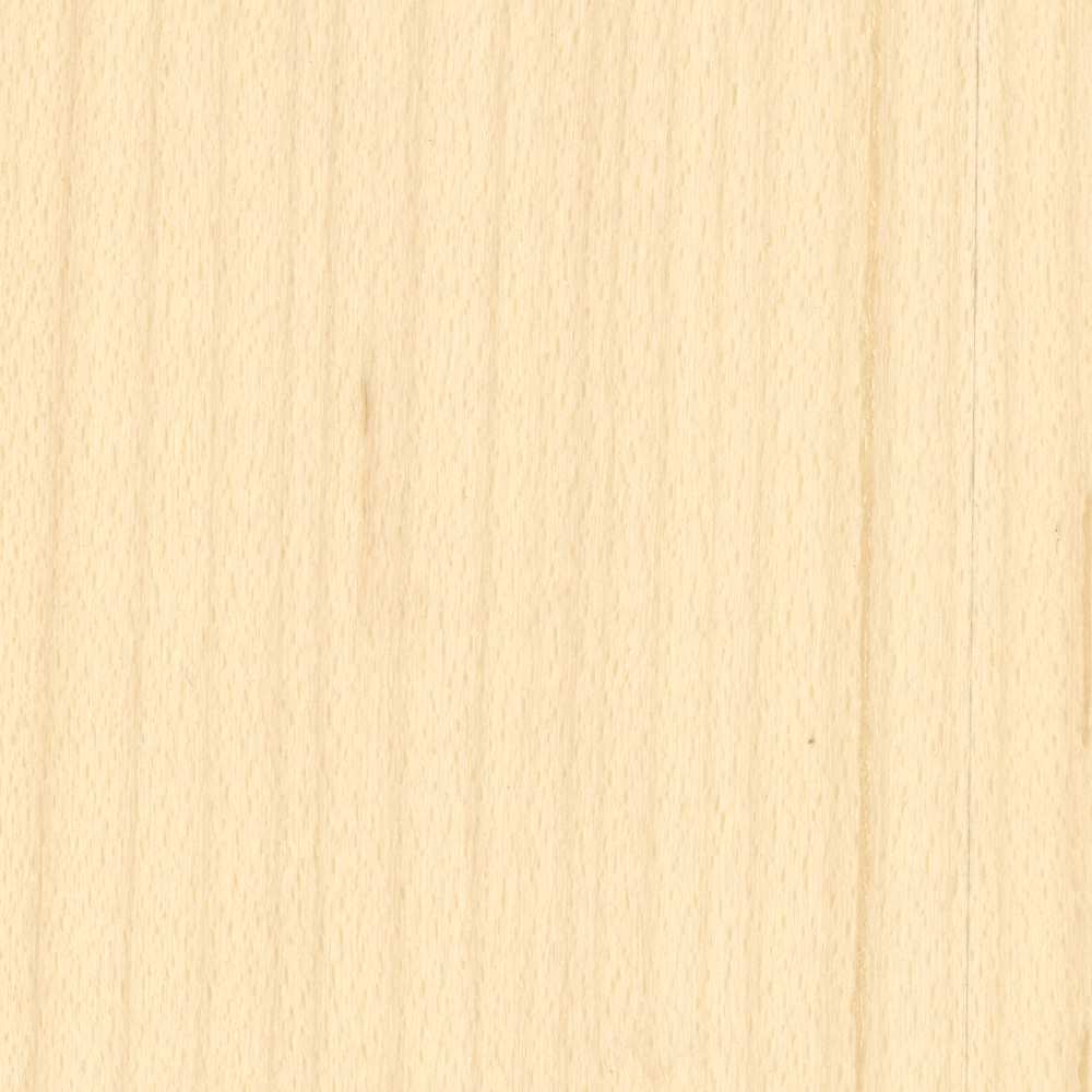 Clear Maple - Steelcase