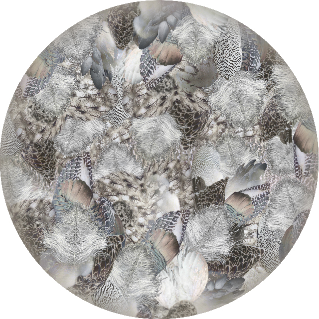 Dodo Pavone Carpet by Moooi | Steelcase