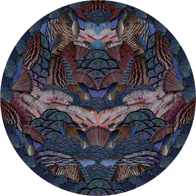 Calligraphy Bird Rug by Moooi | Steelcase