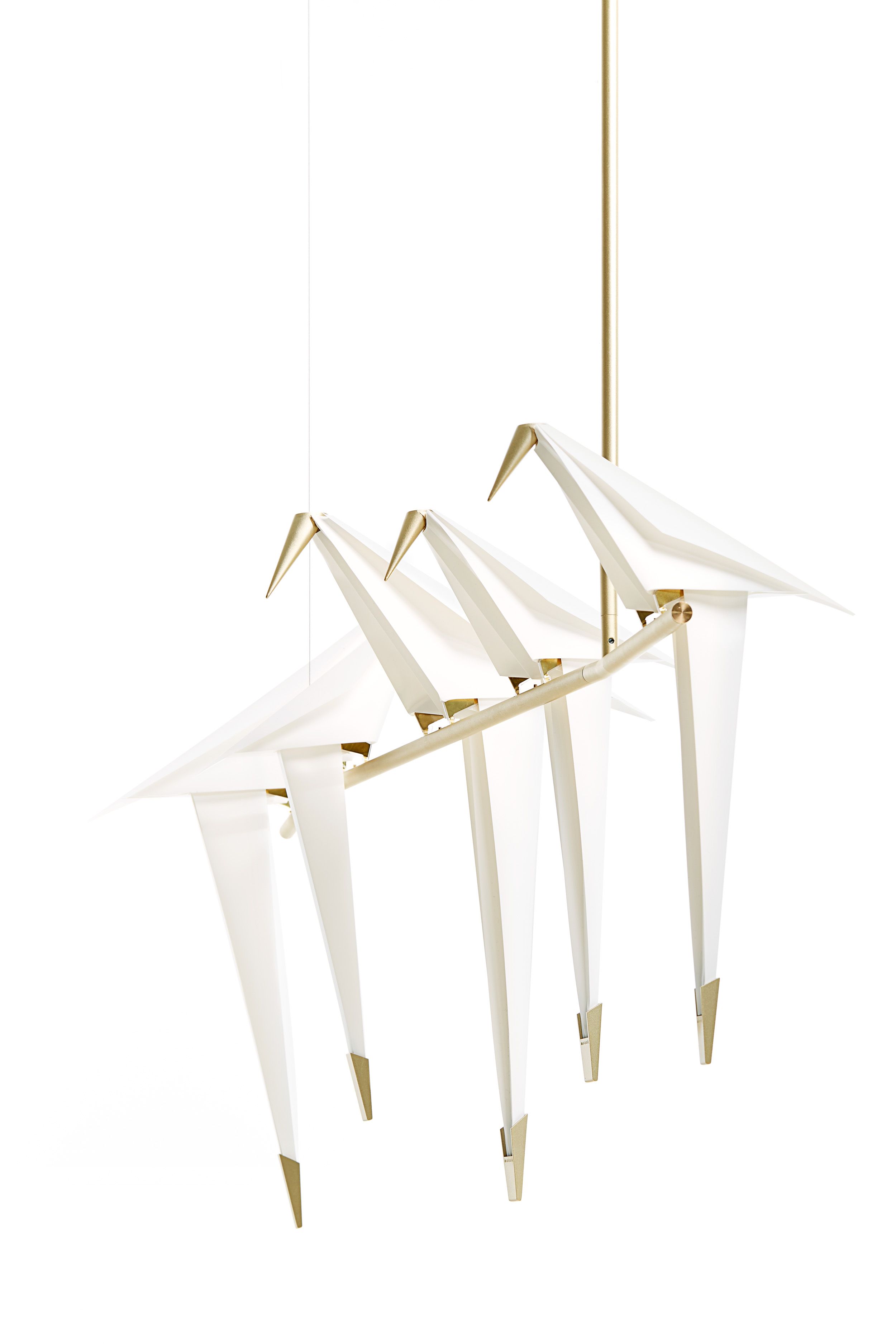 Perch Light Branch Pendant by Moooi | Steelcase